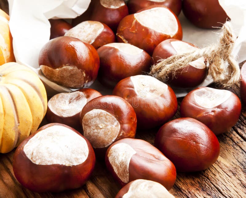 Autumn Chestnuts stock photo. Image of season, nuts, seasonal - 45843522