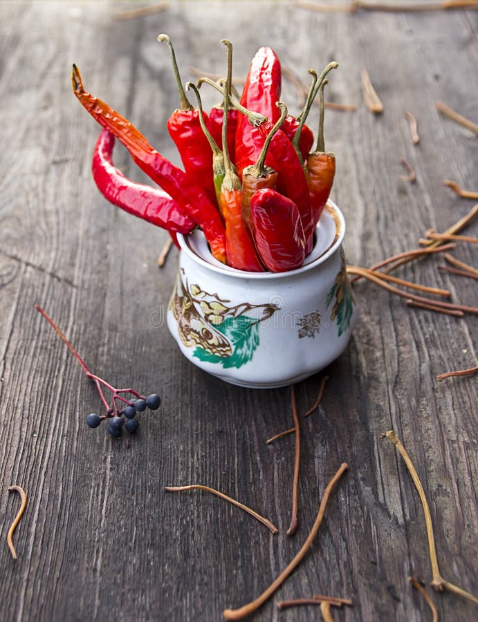 Autumn chilli stock photo. Image of vertical, copy, spice - 27539994