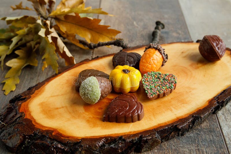 Autumn chocolate bonbon stock image. Image of fall, time - 161614297