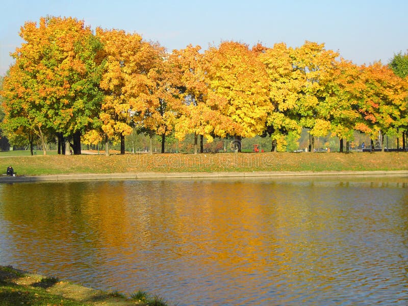 Autumn in city park stock photo. Image of autumn, maple - 10423732