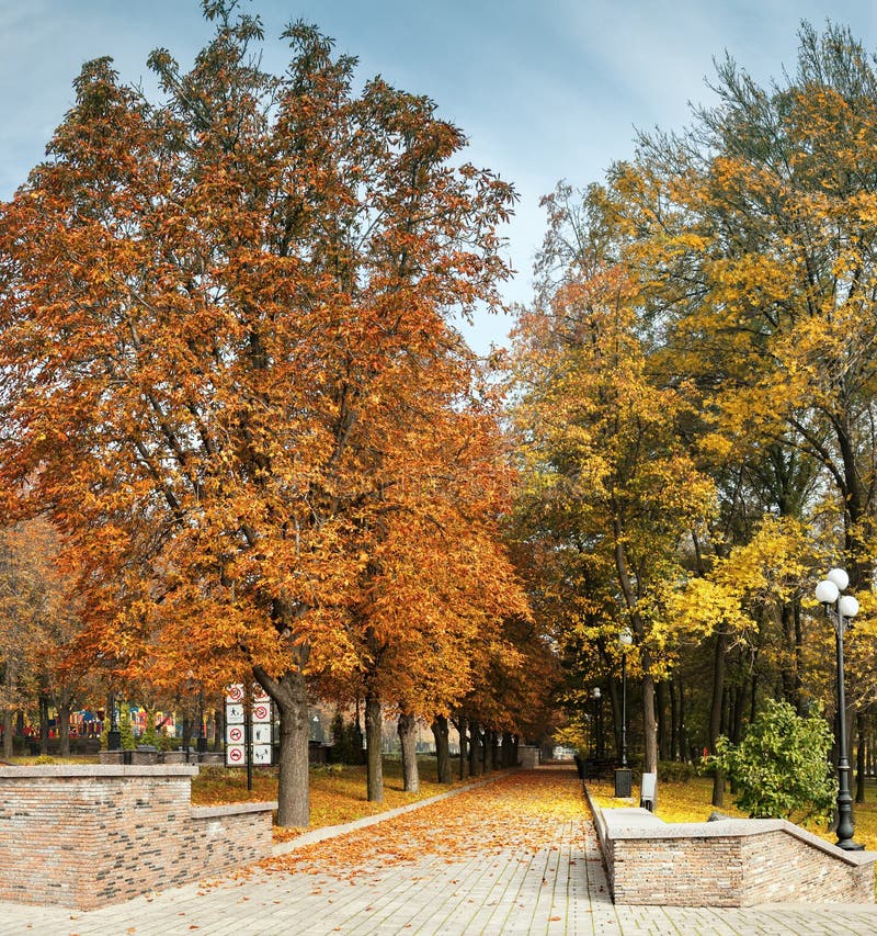 Park Alley in the Botanical Garden of Sochi, Russia Stock Image - Image ...