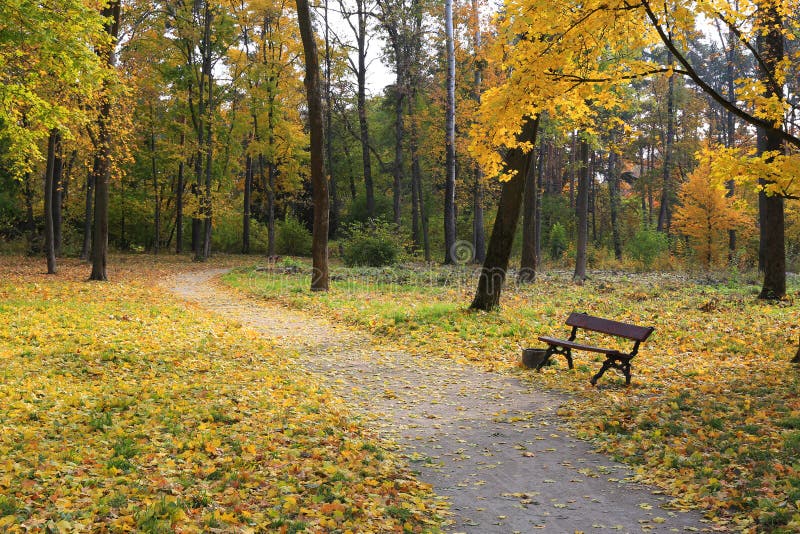 Autumn in city park stock image. Image of brown, alley - 234514359