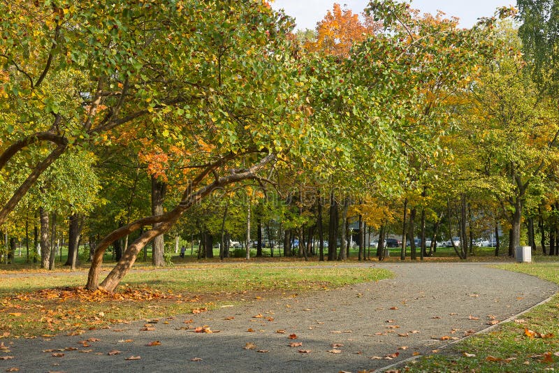 Autumn in city park stock image. Image of plants, colored - 59904071