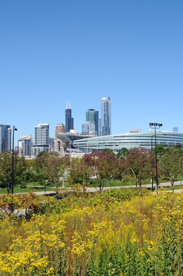 Autumn Cityscape of Downtown Chicago -- Vertical Stock Image - Image of ...