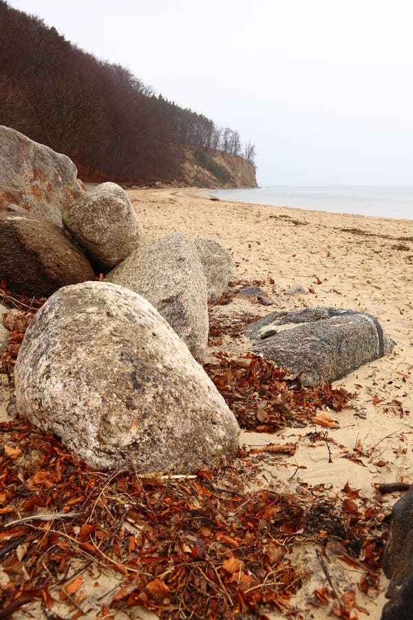 Gdynia Orlowo Cliff At Baltic Sea In Poland Stock Image - Image of ...
