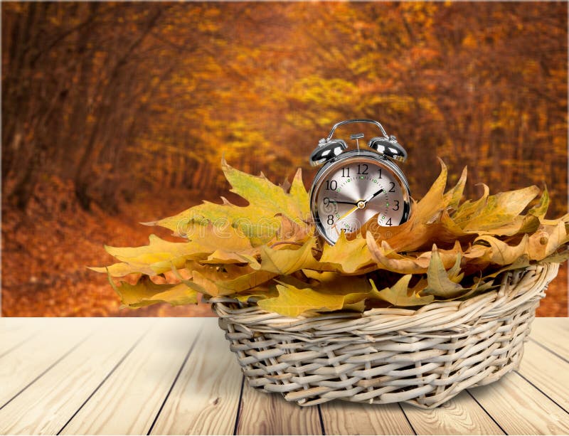 Autumn stock photo. Image of imagery, daylight, efficiency - 59993000