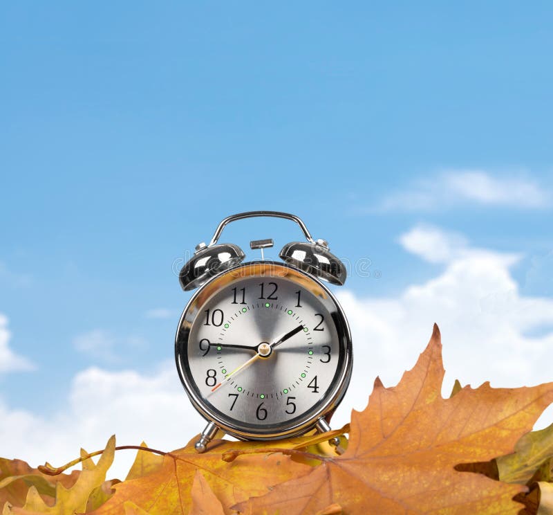 Autumn stock photo. Image of wasting, blue, autumn, daylight - 113331328