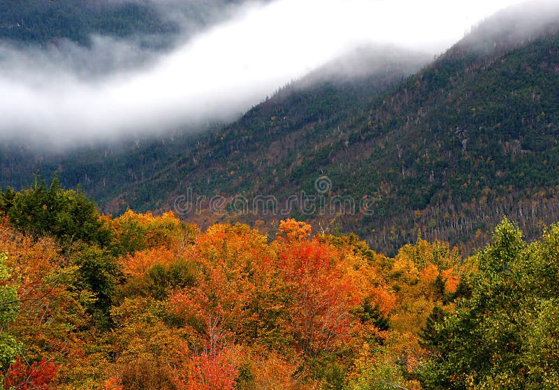 Autumn cloud stock photo. Image of orange, mist, green - 10630088