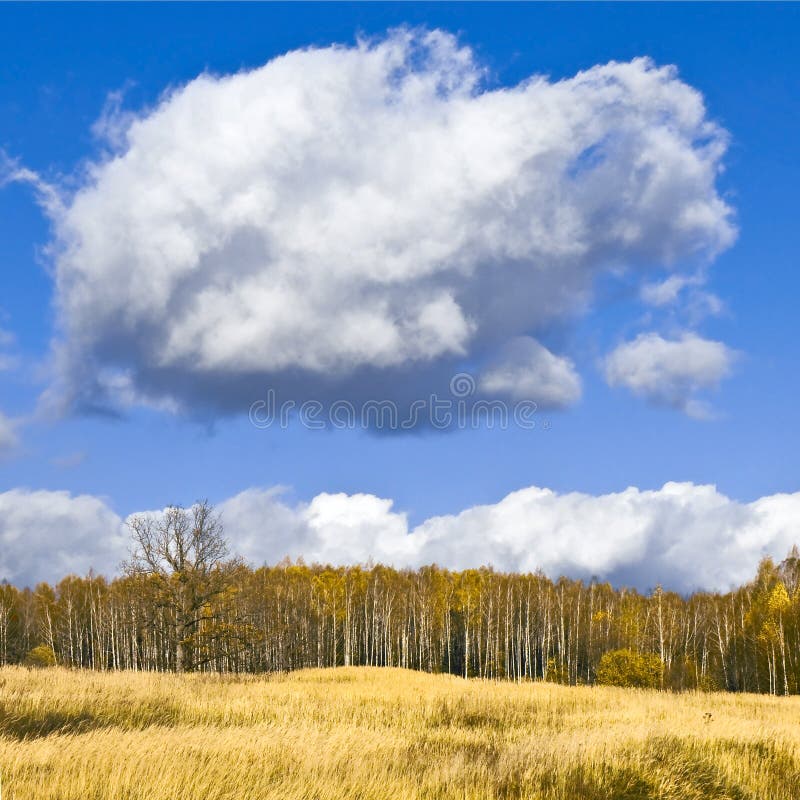 Autumn cloud stock image. Image of brood, downy, land - 20335965