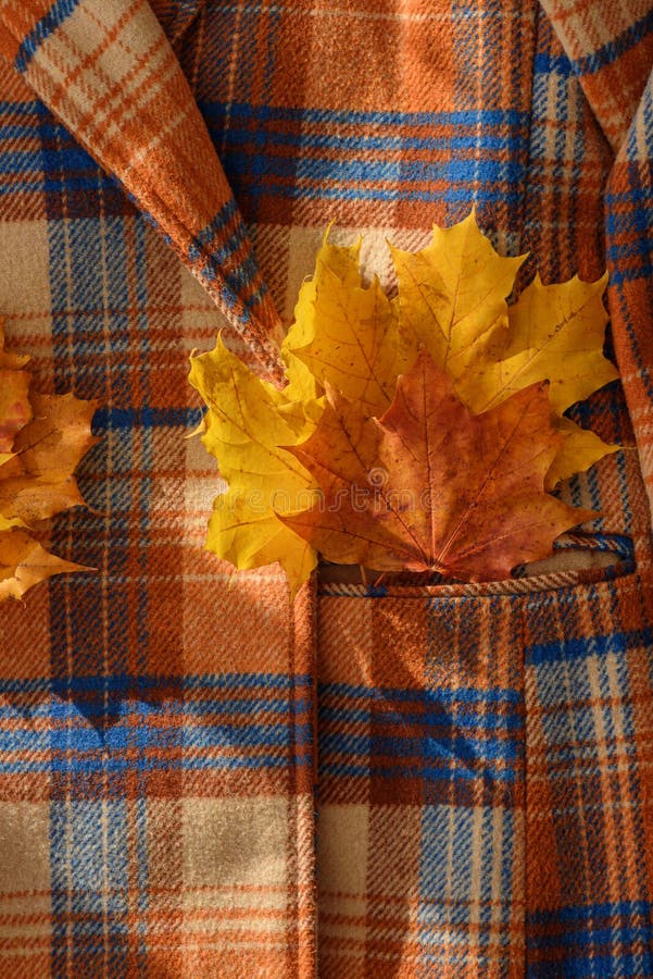 Autumn Coat with Maple Leaves in Pocket Under Sun Rays Stock ...