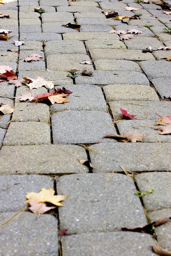 Autumn Cobblestone Walkway stock image. Image of texture - 3306353