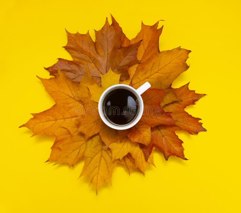 Autumn Coffee Composition. White Mug with Maple Autumn Leaves. the ...