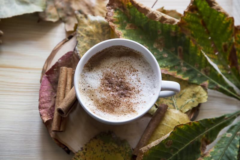 Autumn Coffee Cup, Cappuccino with Cinnamon, Dried Leaves, Top V Stock ...