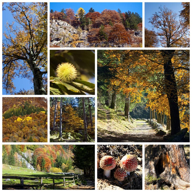 7,175 Rural Collage Stock Photos - Free & Royalty-Free Stock Photos ...