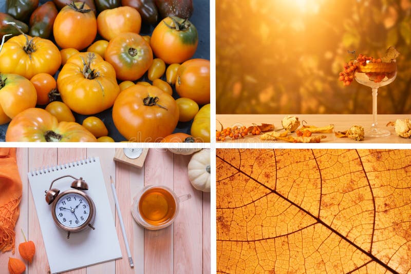 Autumn Collage with Shades of Orange. Fall Concept Stock Image - Image ...