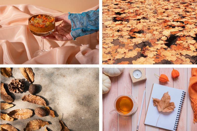 Autumn Collage with Shades of Orange. Fall Concept Stock Photo - Image ...