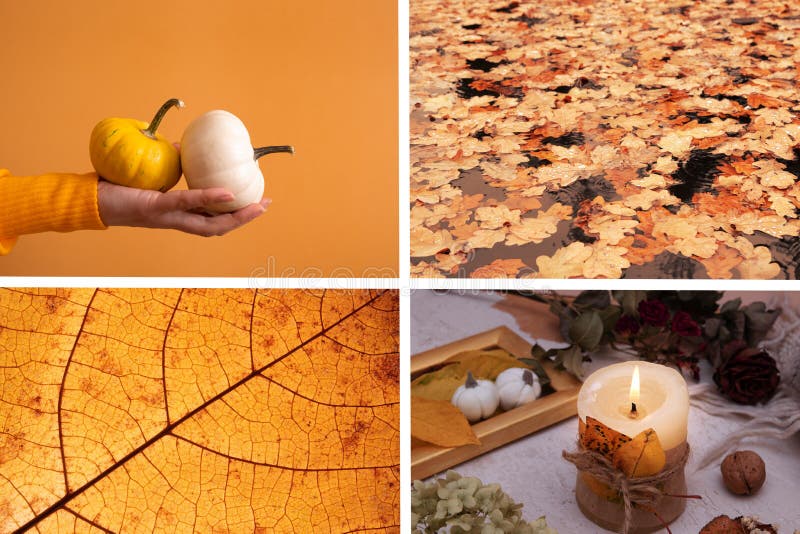 Autumn Collage with Shades of Orange. Fall Concept Stock Photo - Image ...