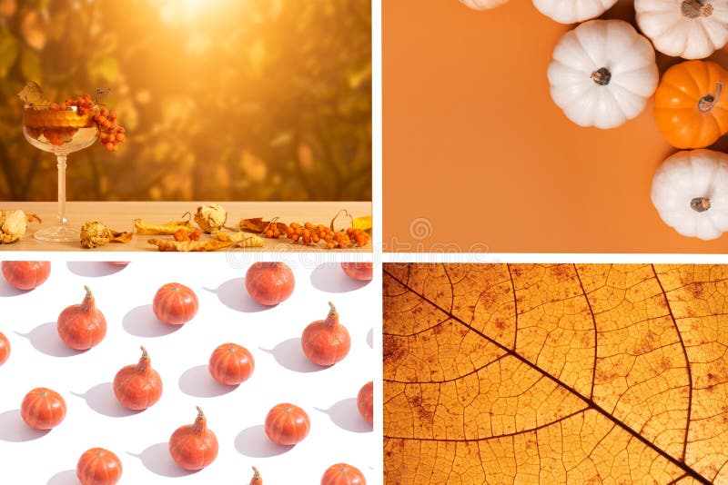 Autumn Collage with Shades of Orange. Fall Concept Stock Image - Image ...