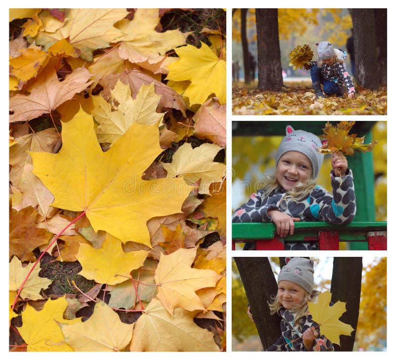 Autumn - collage stock photo. Image of head, color, foliage - 34424634