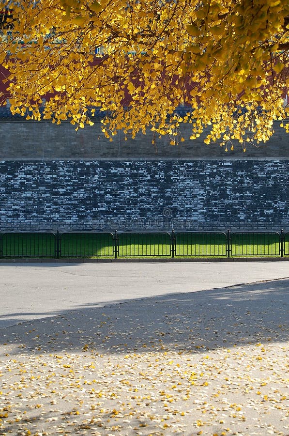 Autumn color in Beijing stock photo. Image of changing - 3310806