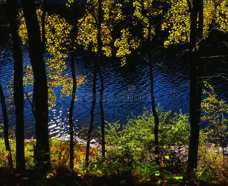 Autumn color harmony stock image. Image of spectrum - 142317557