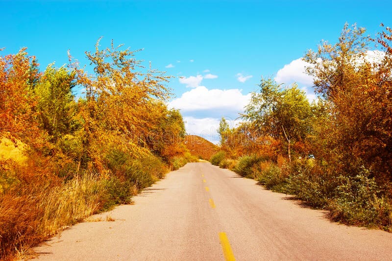 Autumn color highway stock image. Image of highway, autumn - 21836629