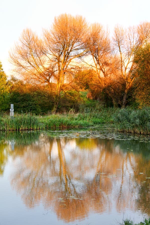 Autumn Color Lake stock image. Image of background, morning - 11233587