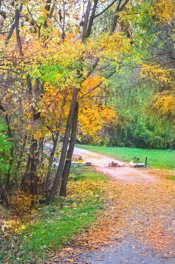 Autumn Color Palette in a City Park Stock Image - Image of garden ...
