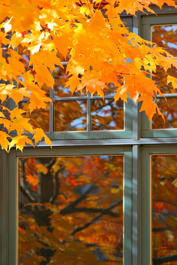 Autumn window stock photo. Image of window, fall, leaves - 1139910