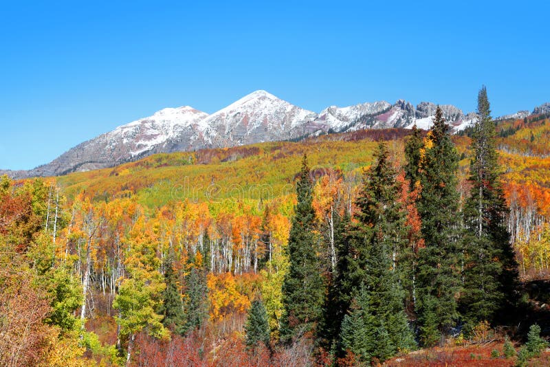 Autumn in Colorado stock photo. Image of travel, october - 78025278