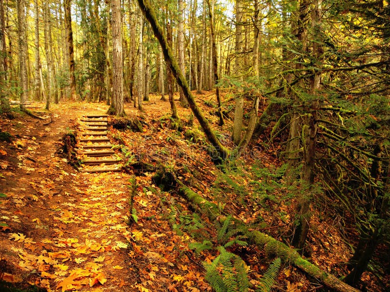 Fall colors stock image. Image of autumn, fall, september - 98757551