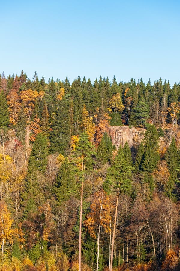Autumn Colored Forest with a Cliff Stock Image - Image of copy, fall ...