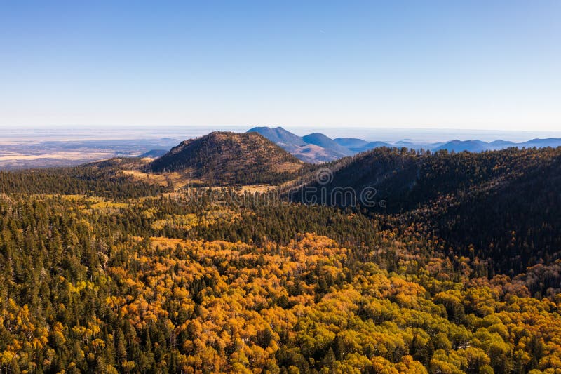 Autumn Colored Trees in Arizona with Mountains in Background Stock ...
