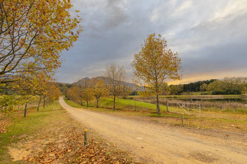 Autumn Colored Trees Line the Dirt Road Stock Photo - Image of natural ...