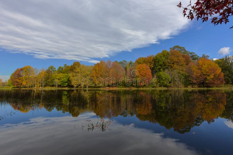 Autumn Colored Trees and Sky Reflection on the Water Stock Photo ...