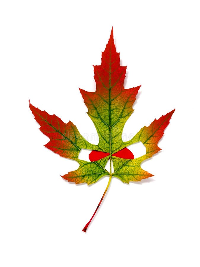 Autumn Maple Leaf in the Style of Halloween - an Evil Face with Red ...