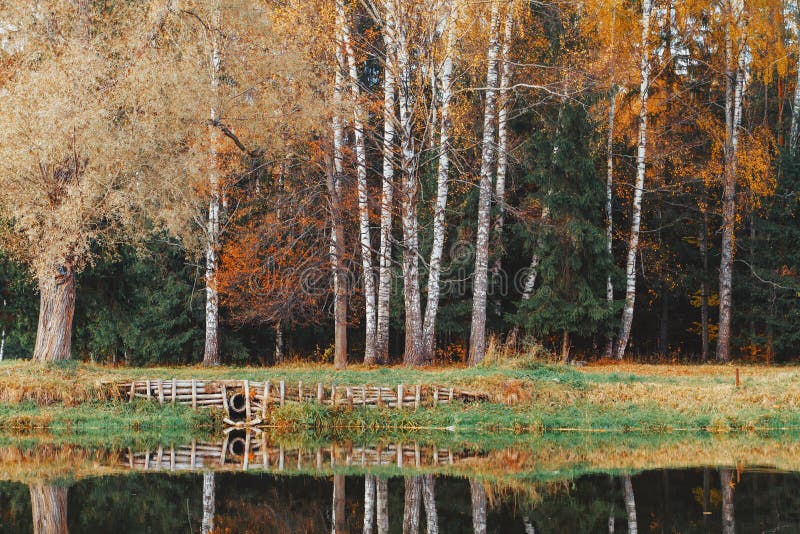 Autumn forest and pond. stock image. Image of pond, tranquil - 120366169