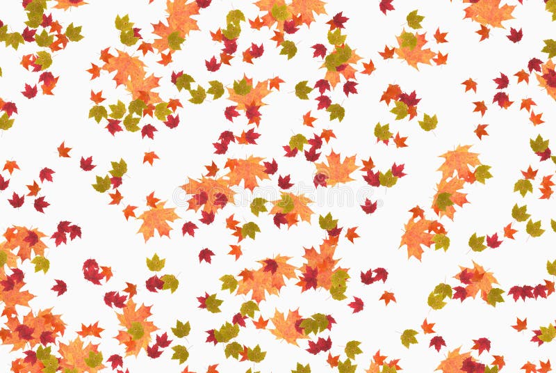Autumn Colorful Leaves. Nature Fall Background. Creative Layout. Season ...