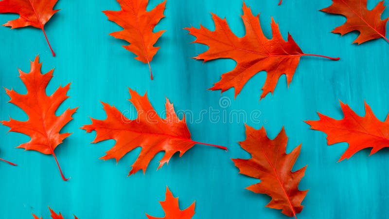 Autumn Colorful Oak Leaf Background. Stock Photo - Image of detail ... Autumn Colorful Oak Leaf Background. Stock Photo - Image of detail ...