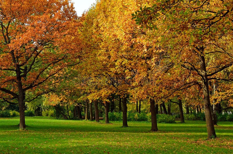 Fall Garden Foliage and Color Stock Image - Image of vista, view: 3560327