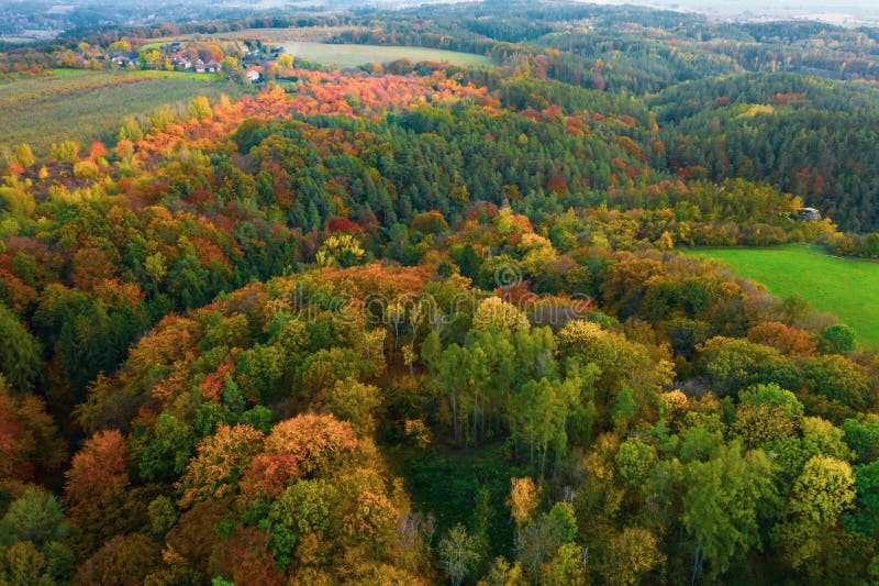 Autumn Colorful Trees at Sunrise Aerial View Stock Photo - Image of ...