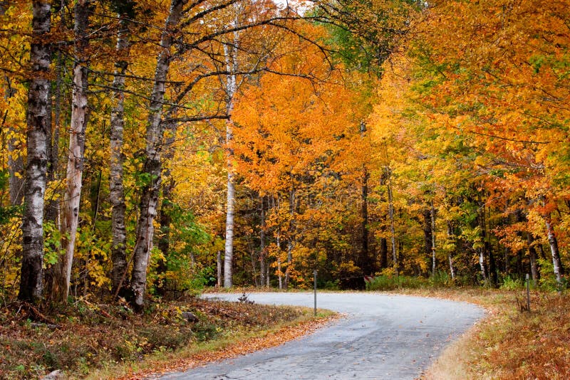 Winding Road, Fall Colors, Door County, WI Stock Photo - Image of ...