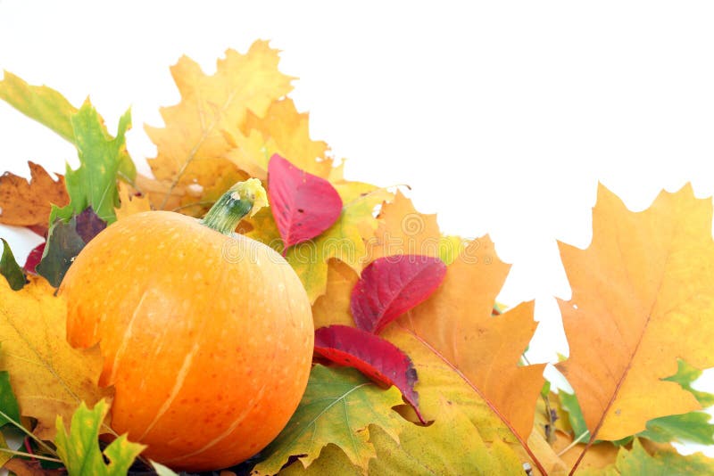 Autumn colors stock photo. Image of closeup, backgrounds - 16546584