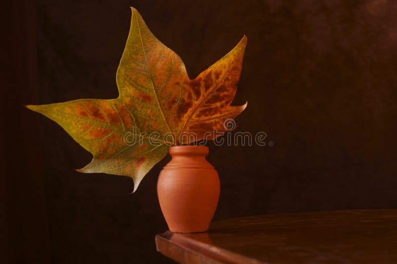 Autumn Colors - Arrangement with Rusty Leaf Stock Photo - Image of ...