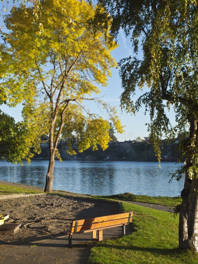 Autumn Colors in Blue Lake Park Oregon. Stock Photo - Image of trees ...