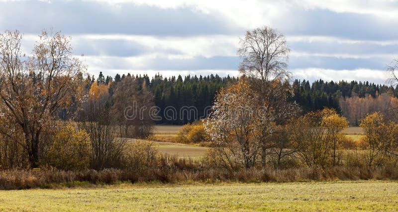 Autumn Colors in Countryside in October Stock Photo - Image of nature ...