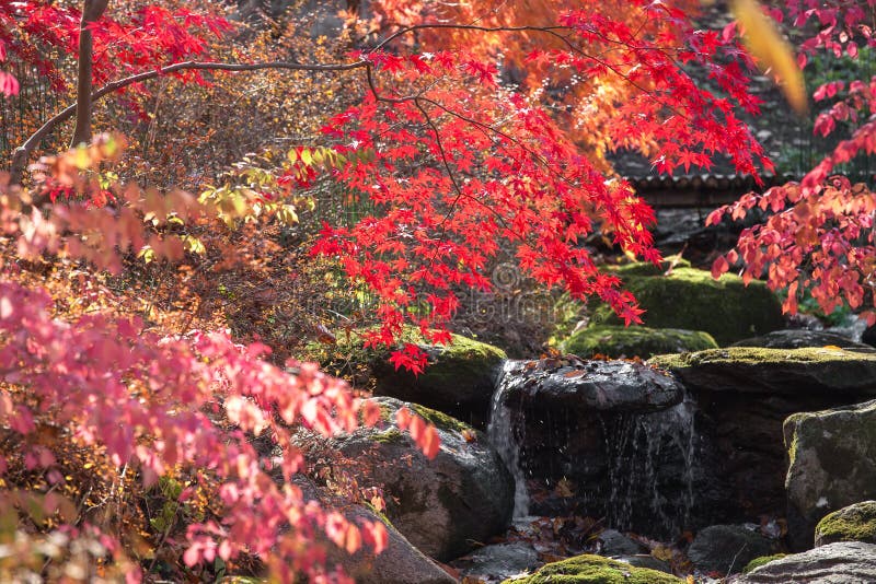 Autumn Colors stock photo. Image of fall, waterfall, rocks - 35285720