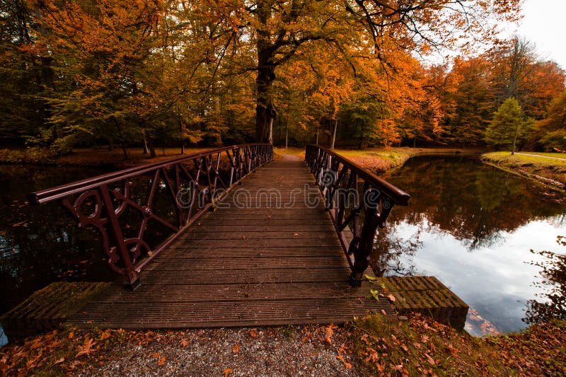 Autumn Colors in the Forest Stock Photo - Image of branches, leafs ...