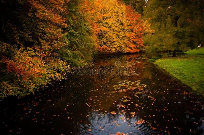 Autumn Colors In The Forest Stock Image - Image of branches, outdoors ...
