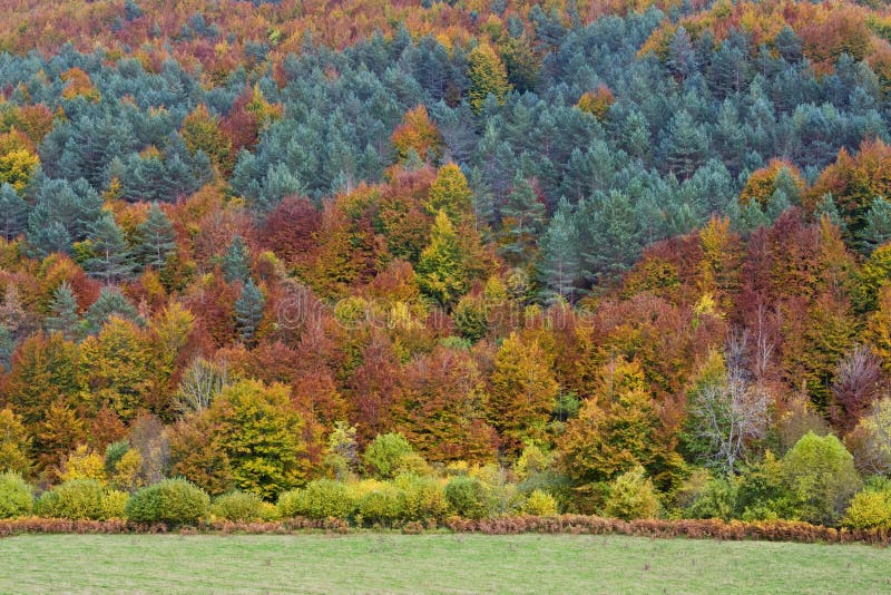 Breathtaking Colorful Fall Landscape Stock Photo - Image of travel ...